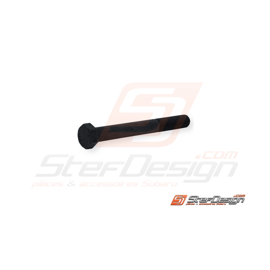 Vis 12x100 | Stef Design